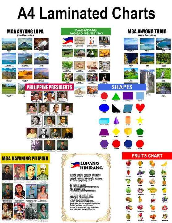 Anyong Lupa A4 Laminated Educational Charts for Students Philippine ...