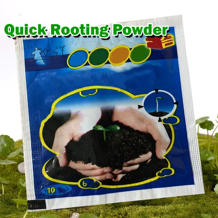 Quick Rooting Powder, Fast Plant Flower Rooting Powder Quick Growth ...