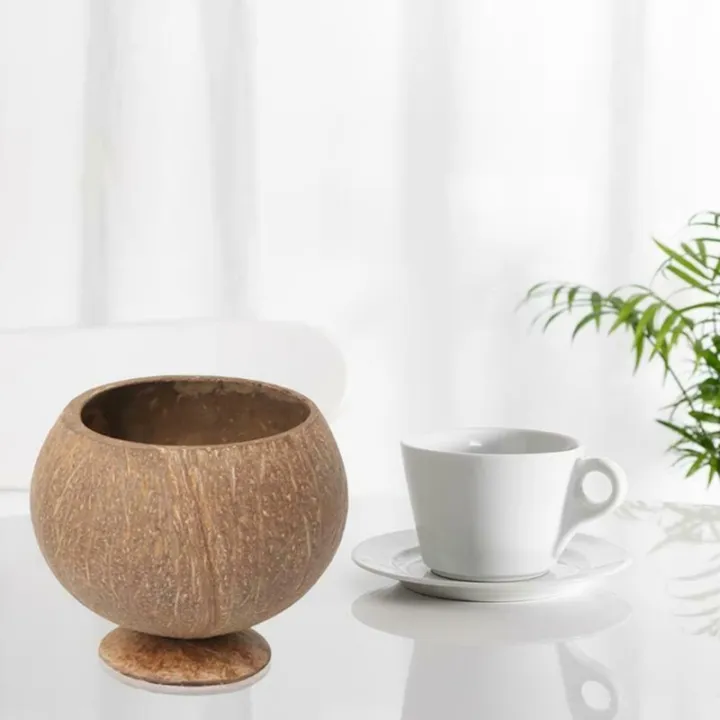 Coconut Shell Bowl Coconut Shells Vegans Breakfast Bowls Eco-Friendly ...