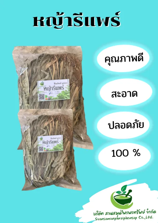 หญ้ารีแพร์(Barbed grass)แห้ง ขนาด 100 กรัม ฟื้นฟูแผลให้หายเร็ว | Lazada ...