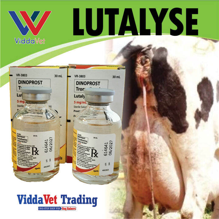 Lutalyse dinoprost for pig Lutalyse for pig Lutalyse 30 ml Zoetis for ...