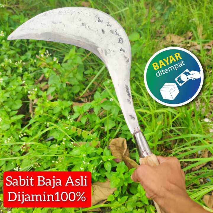( Dijamin Tajam ) Arit Per Baja Asli - Sabit Pemotong Rumput - Arit ...