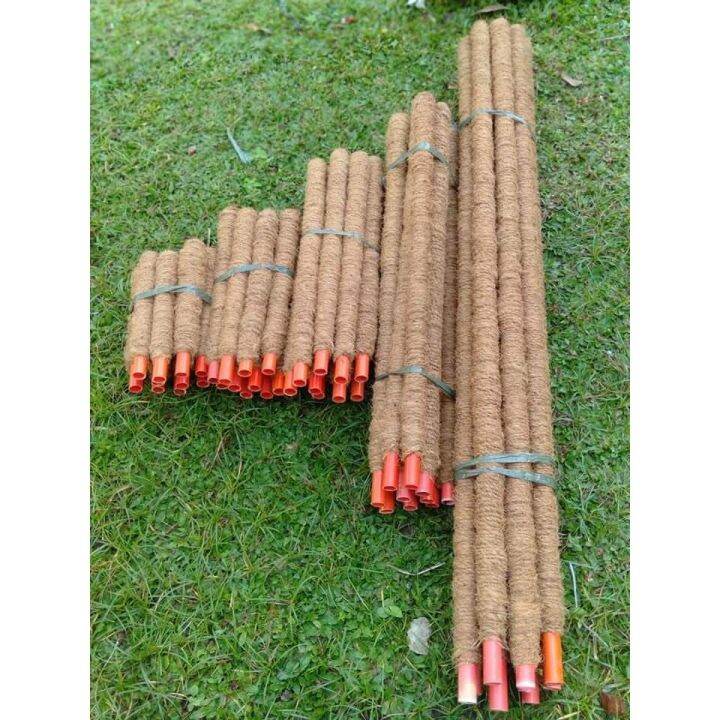 4 Ft. Coco Pole for Plant growth support Best for Vines and creeping ...