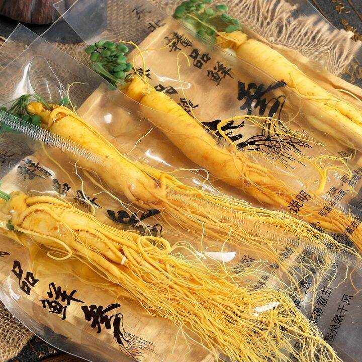 Ginseng Merah Korea Hidup Perbatang 100gram 100% Asli | Lazada Indonesia
