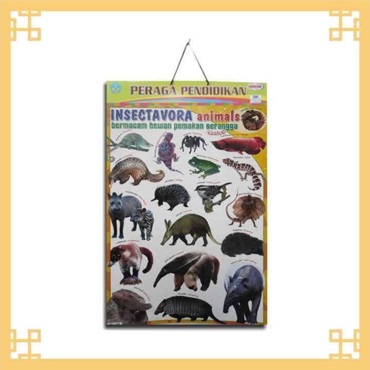 Poster Edukasi Anak - Poster Anak Insectavora Animals Bermacam Hewan ...