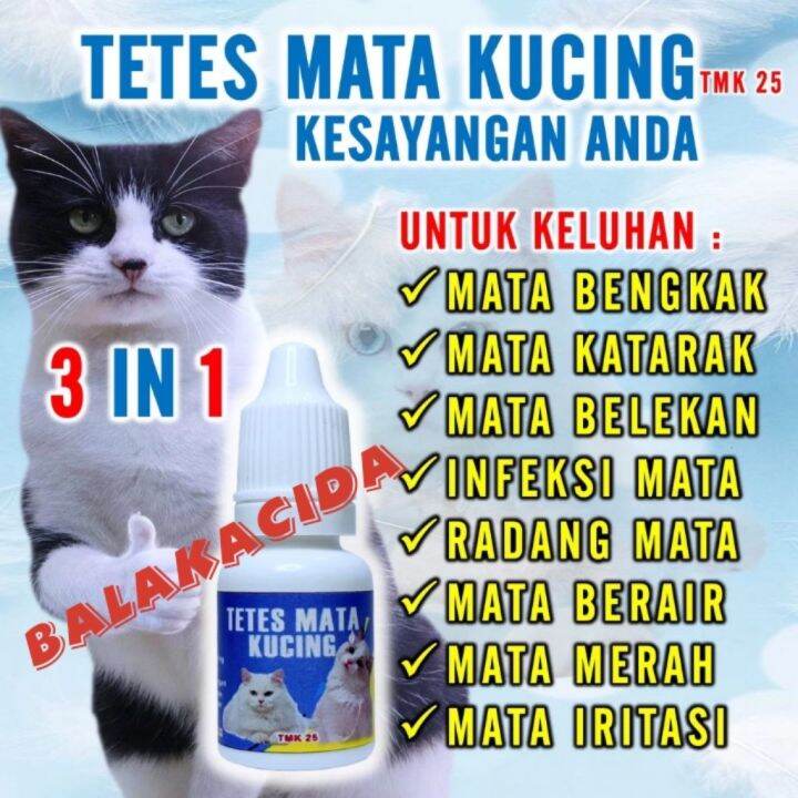 Obat Tetes Mata Hidung Telinga Kucing 3 Fungsi dalam 1 Botol | Lazada ...