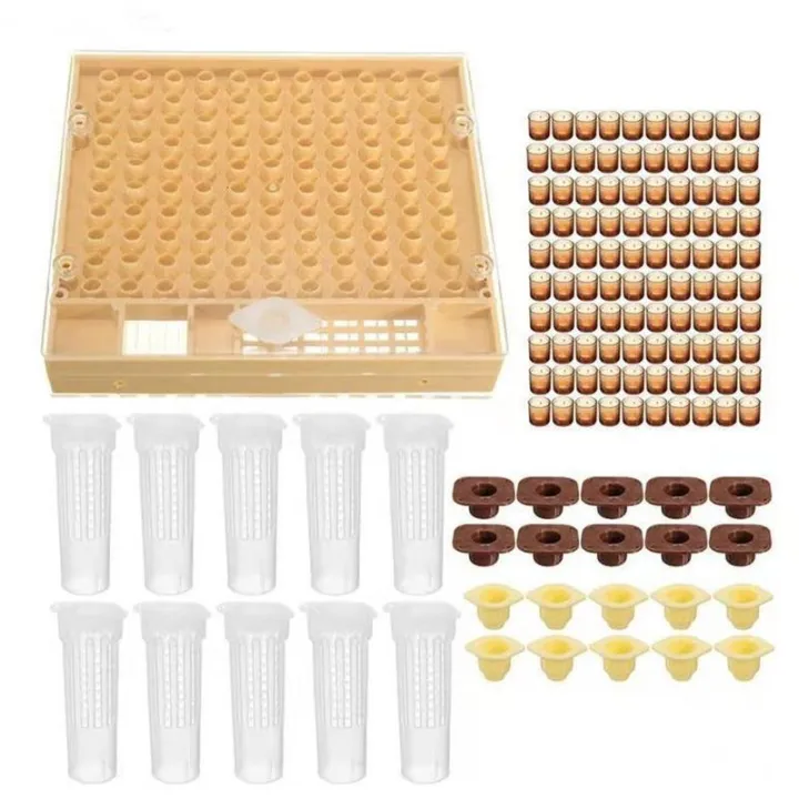 Complete Bee Queen Rearing Cup Kit System Beekeeping Catcher Set Box ...
