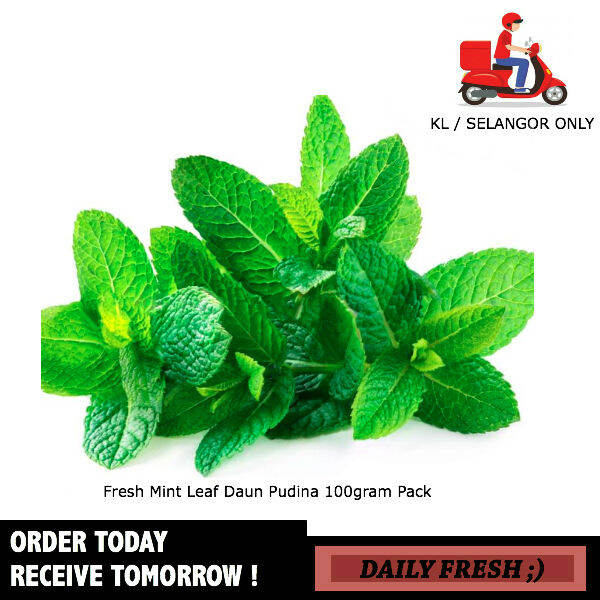 Fresh Mint Leaf Daun Pudina 100gram Pack Fresh Vegetables | Lazada
