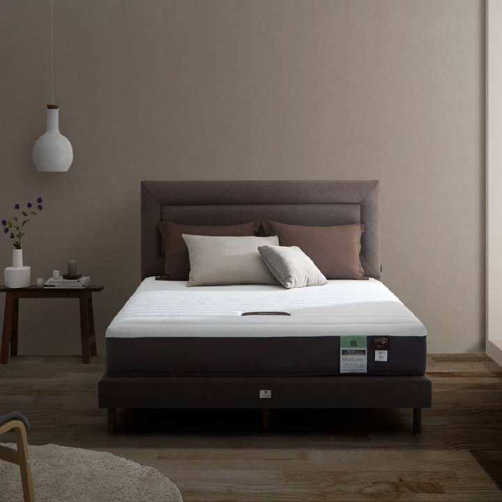 คอนเซ็ปต์ เฟอร์นิเจอร์ ที่นอน Lotus รุ่น Intel II ขนาด 3.5 ฟุต แถมฟรี ...