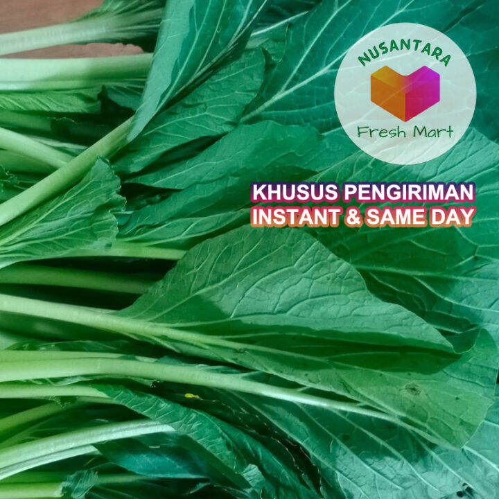 Sawi Hijau Caisim Segar Chye Sim | Lazada Indonesia