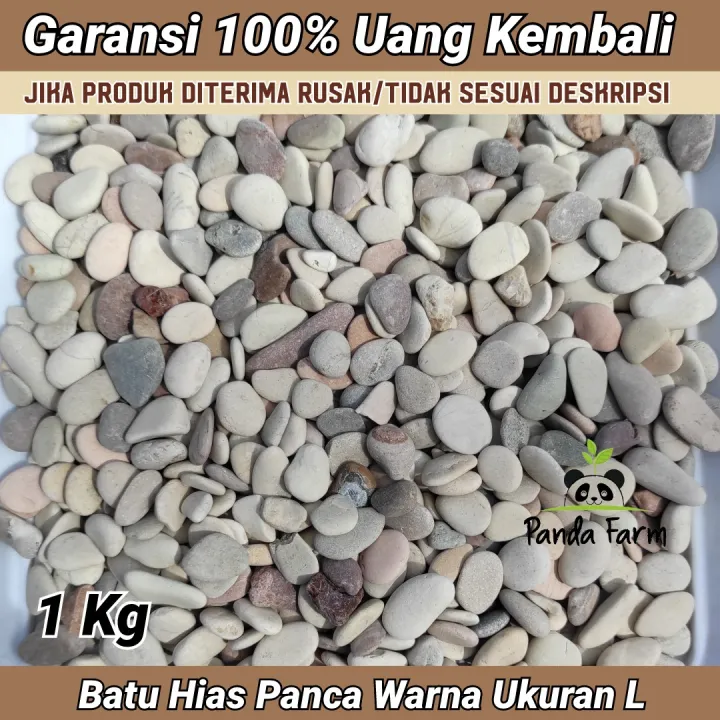 Batu Alam Koral Tabur Kerikil Hias Panca Warna Ukuran L - 1 KG | Lazada ...