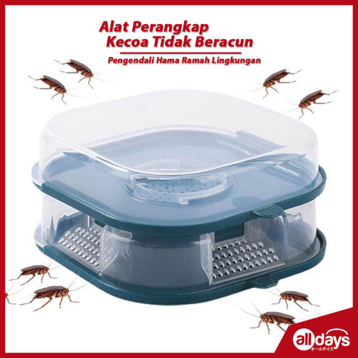 Alldays Alat Perangkap Kecoa Tidak Beracun Bisa Digunakan Kembali ...