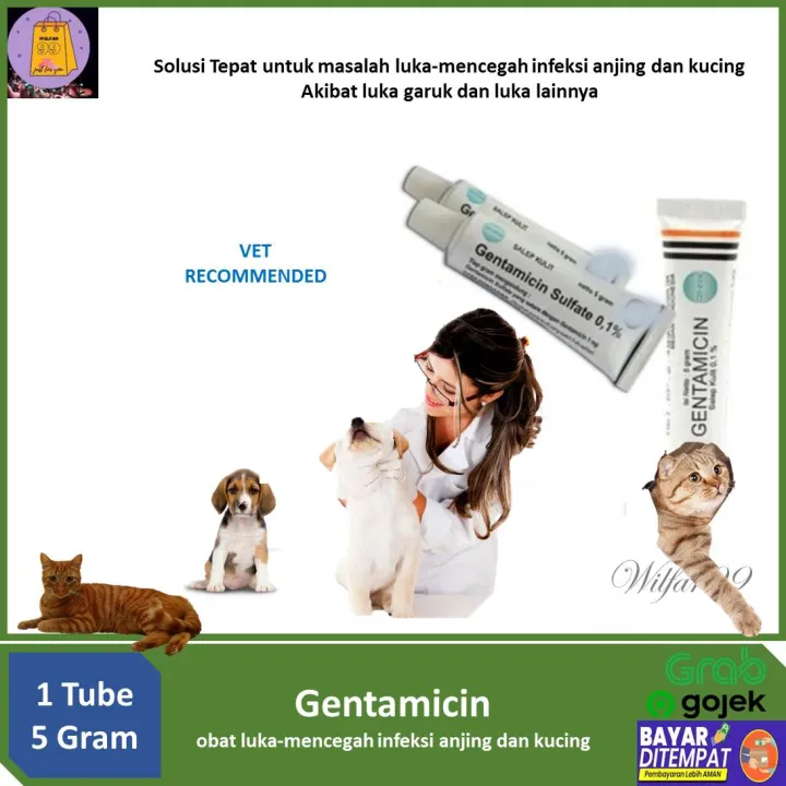 Obat Luka Infeksi Kulit Kucing Anjing Salep Luka Infeksi Kulit Hewan ...