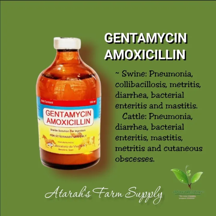 GENTAMYCIN AMOXICILLIN (Gentamox) 100ML | Lazada PH