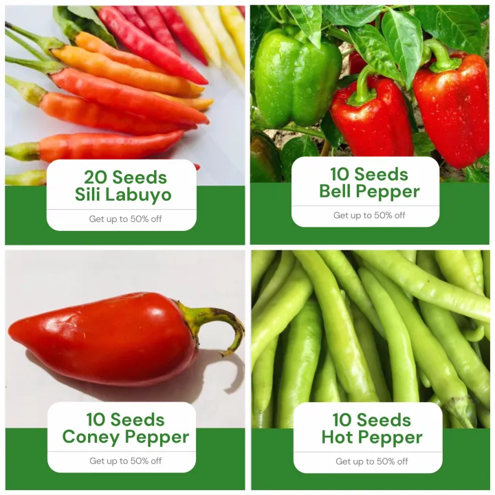 Binhi All in 4 in 1 Pack Chili's Variety Labuyo, Hot Pepper, Sweet ...