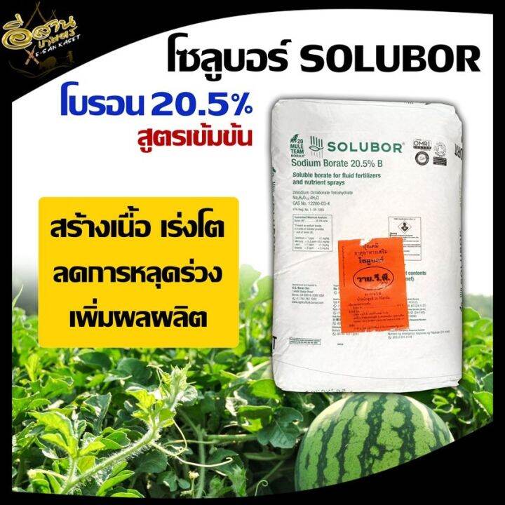 Solubor โซลูบอร์ 20.5% ผงจุลธาตุโบรอน บรอนเข้มข้น ปุ๋ยทางใบ ฉีดพ่น ปุ๋ย ...