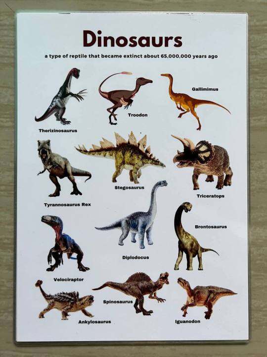 Learning materials and educational chart for kids Laminated A4 Size ... Learning materials and educational chart for kids Laminated A4 Size ...
