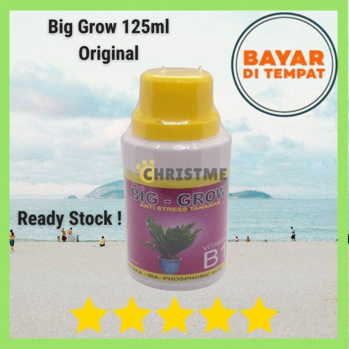 BIG GROW B1 100ml - Penumbuh Penguat Akar Batang dan Anti stress ...