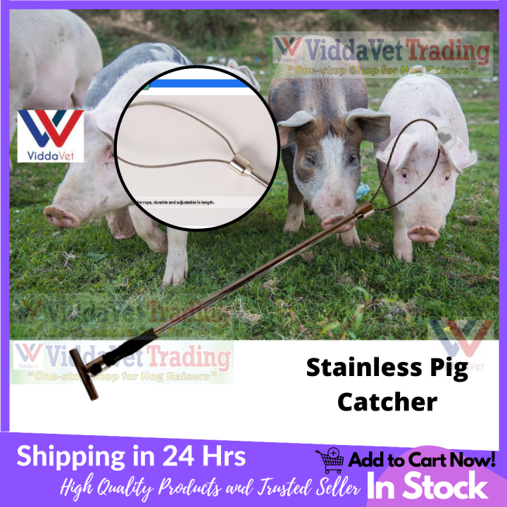 Stainless Steel Pig Catcher Hog Swine Holders Veterinary Farm Livestock ...