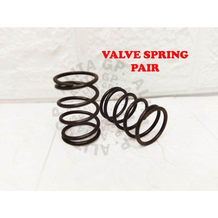 Valve Spring PAIR Gx160 5.5HP 6.5HP Gasoline Engine | Lazada PH