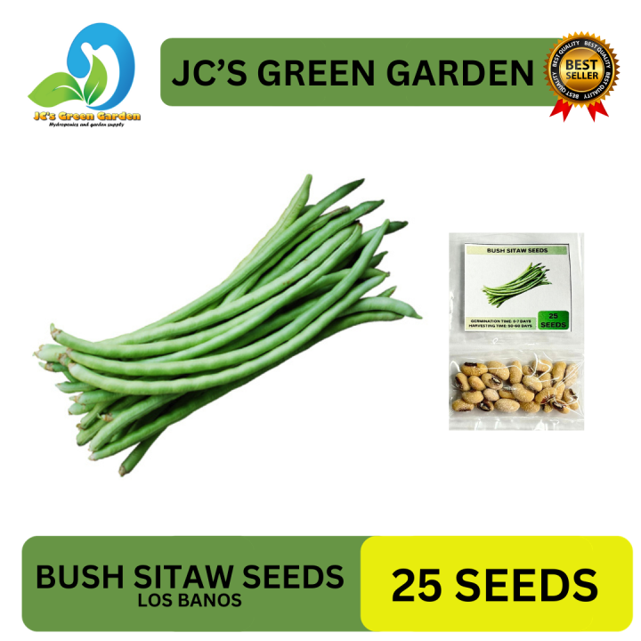 (25 SEEDS) SITAW NA TURO/BUSH SITAW/LOS BANOS VARIETY/FOR PLANTING ...