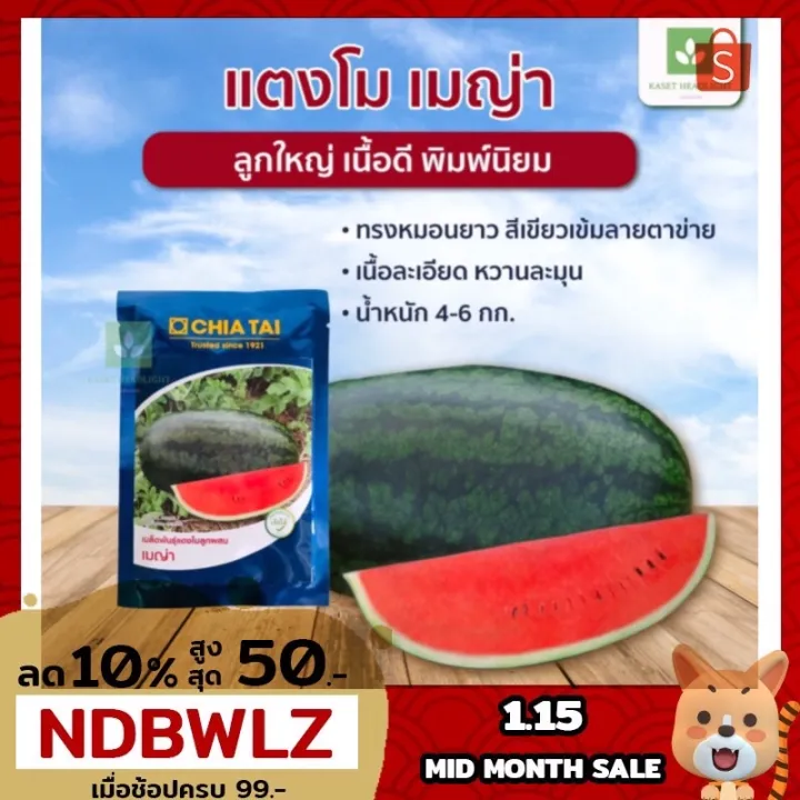 ใหม่! Torpedo Maya Seeds แตงโม Maya Chia 40 เมล็ด (ไม่ใช่พืช) | Lazada ...
