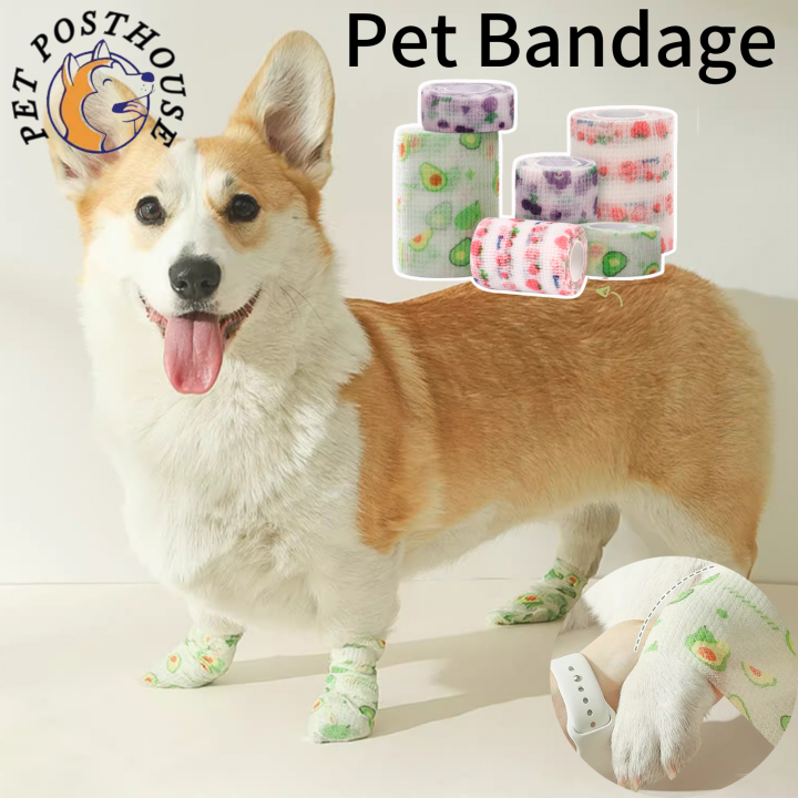 Colorful bandage cute printed pet emergency bandage Self-adhesive ...