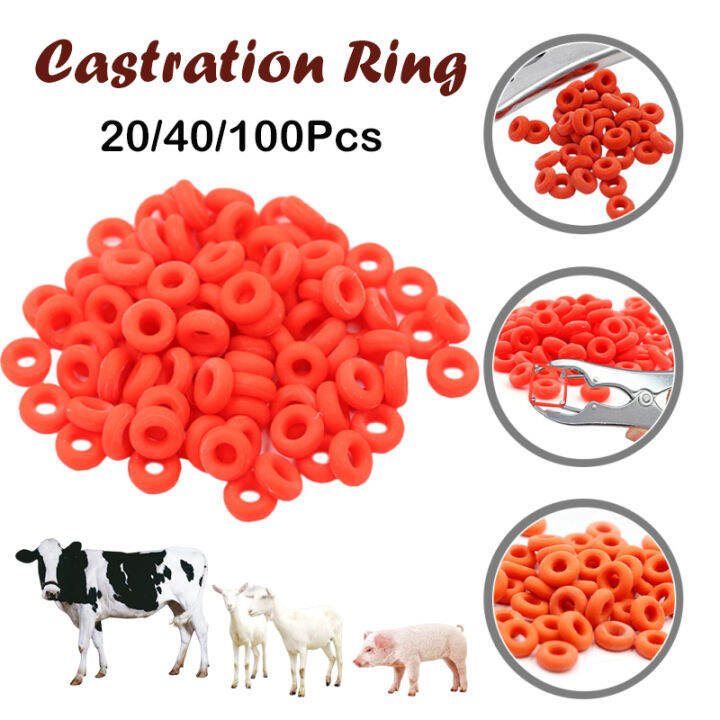 20/40/100Pcs Castration Ring Livestock Castration Forcep Plier Rubber Castrator Ring for Goat ...