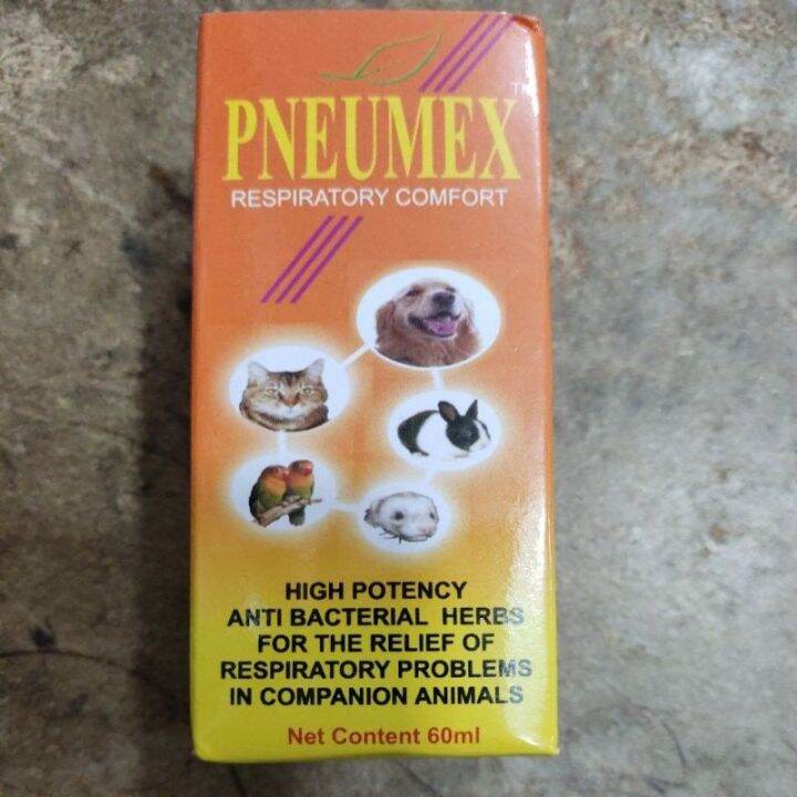 Pneumex Syrup 60ml content | Lazada PH