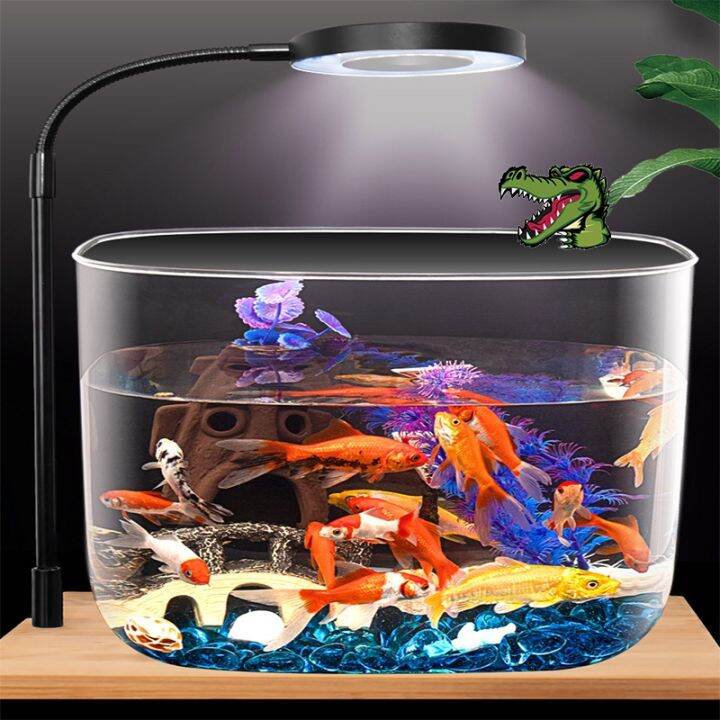 【COD】Ultra-white transparent 25L large fish tank landscaping water ...