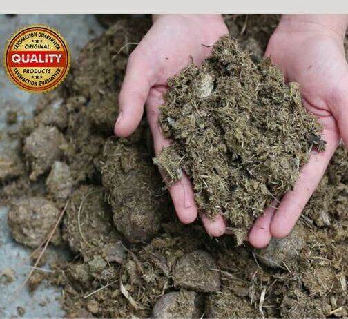 Pure Dried Cow Manure Fertilizer ( 1KG ) | Lazada PH