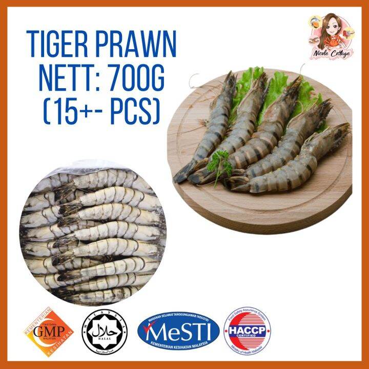 Premium Tiger Prawn/Udang Harimau 1kg 15pcs+- | Lazada