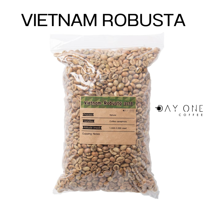 เมล็ดกาแฟโรบัสต้า Robusta coffee bean DAY ONE COFFEE | Lazada.co.th