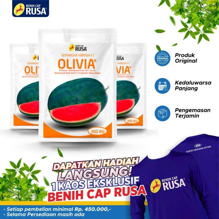 Sahabat Rusa - Benih Semangka Oliva F1 isi 300 biji - 10 Gram | Benih ...