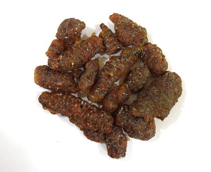 Lakh Kachli (Pipals) sacred figs gum resin (Ficus religiosa) Lakh Pipal ...