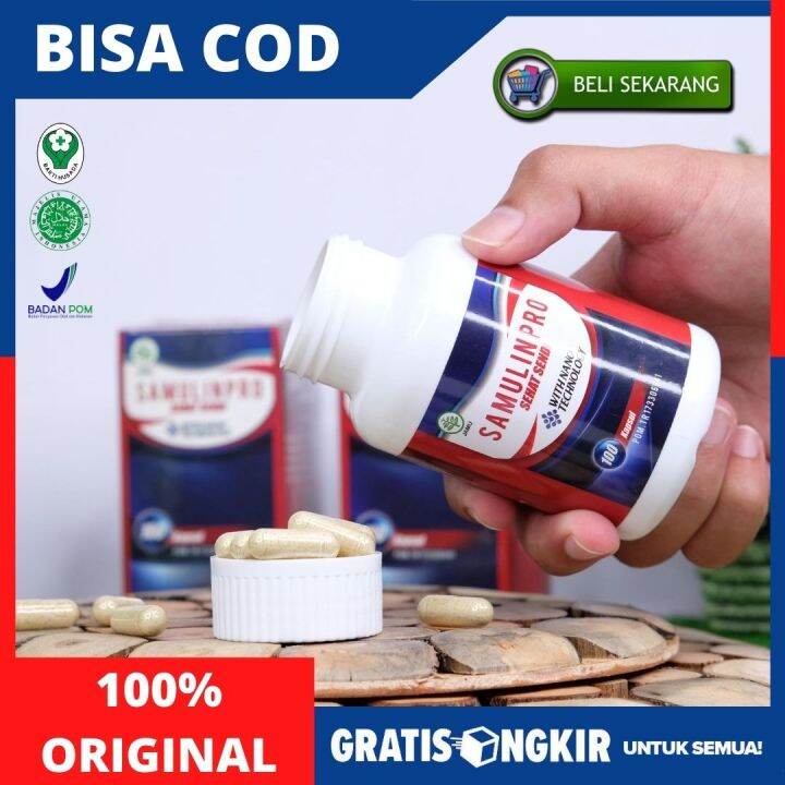 Obat Encok - Obat Nyeri Tulang Sumsum Belakang Ekor - Herbal Pereda ...
