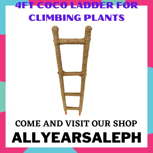 4FT COCO POLE LADDER FOR CLIMBING / TRAILING PLANTS IN YOUR GARDEN ...