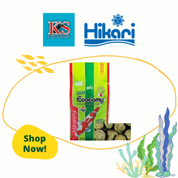 Hikari Economy Koi Food 4kg Fish Feed | Lazada Singapore