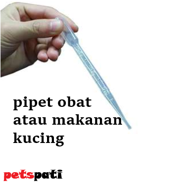 PIPET ALAT PEMBANTU MINUM OBAT ATAU VITAMIN UNTUK KUCING HARGA EKONOMIS ...