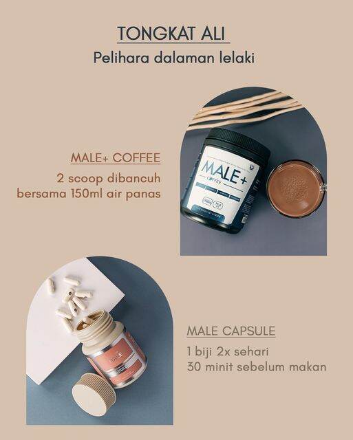 Male Capsule Male Coffee Sendayu Tinggi | Lazada