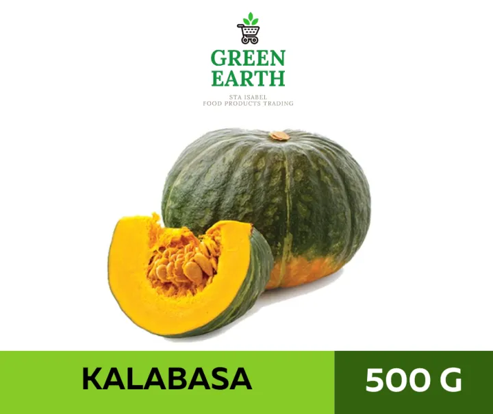 GREEN EARTH SQUASH (KALABASA) 500g | Lazada PH