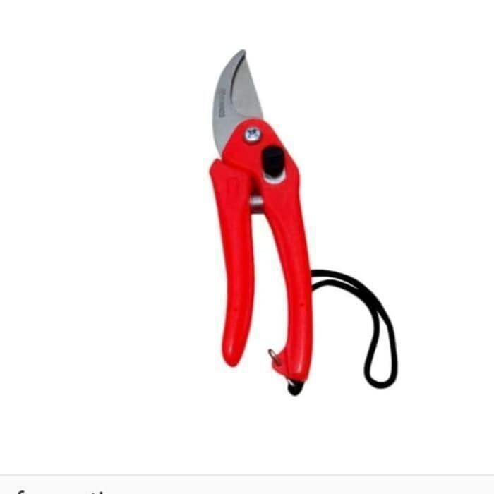 GUNTING DAHAN RANTING BENGKOK BAHAN BESI | Lazada Indonesia