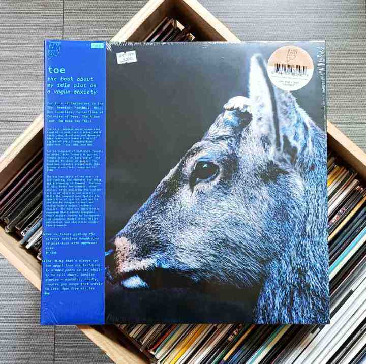 toe – The Book About My Idle Plot On A Vague Anxiety (Tan and Clear ...