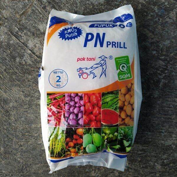 Pupuk KNO3 Putih - PN Prill 2Kg Untuk BUNGA DAN BUAH | Lazada Indonesia