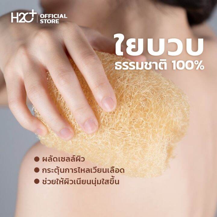 H2O Plus ใยบวบขัดตัว ใยบวบขัดผิว ขัดหลัง แบบท่อน ขนาด 10-12 cm ผลิตจาก ...