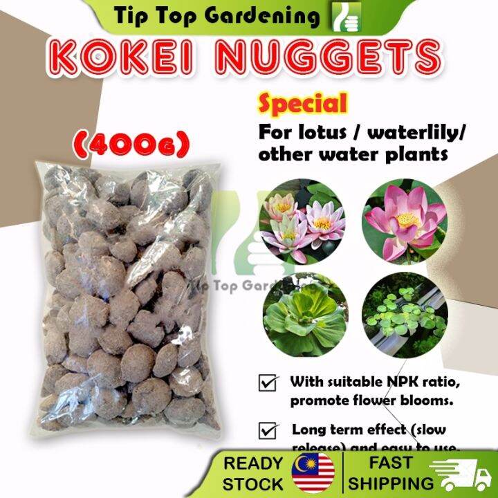 KOKEI NUGGET FERTILIZER FOR LOTUS & WATER LILY ( 400 g ) BAJA POKOK ...