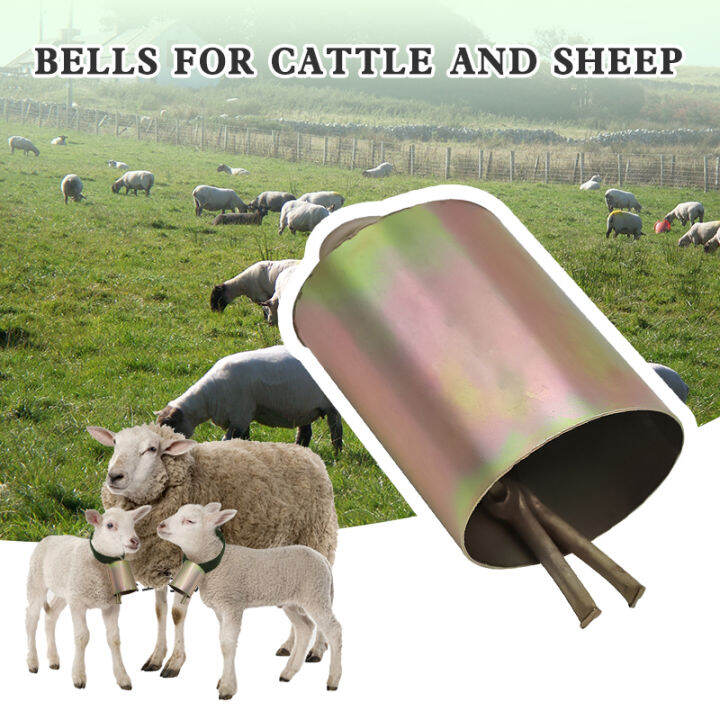 Cattle horses and sheep are equipped with grazing bells upgraded to ...