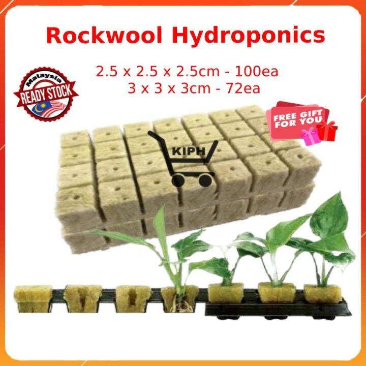 Rockwool Cubes 72/100 Hydroponics Aquaponics Seed Germination / Semai Benih Hydroponik Span ...