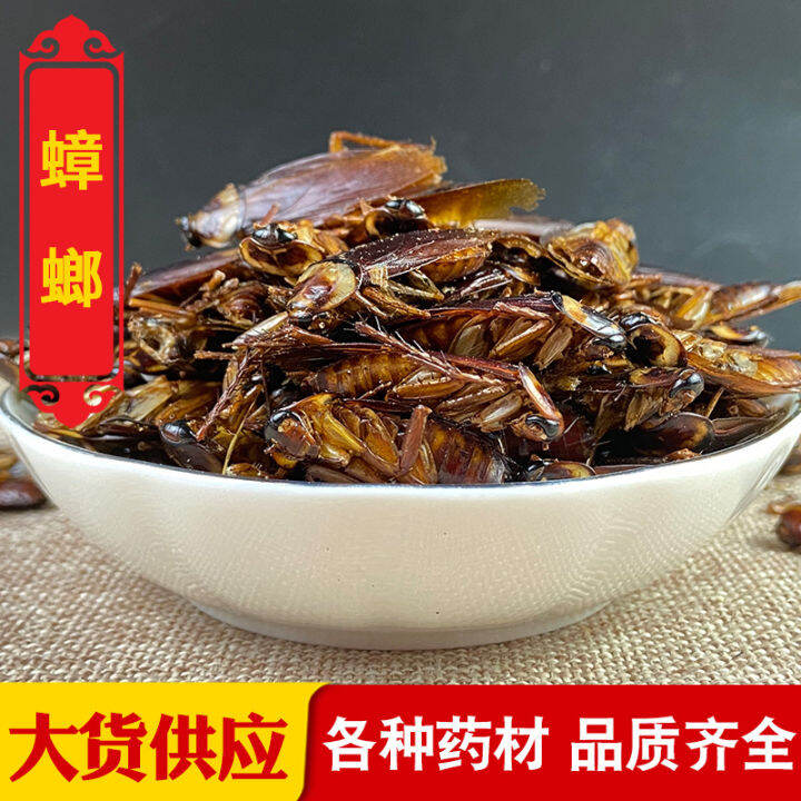 蟑螂 中药材 药用蟑螂粉 蟑螂干 代磨粉 量大价优 Cockroach Chinese herbal medicine medicinal ...