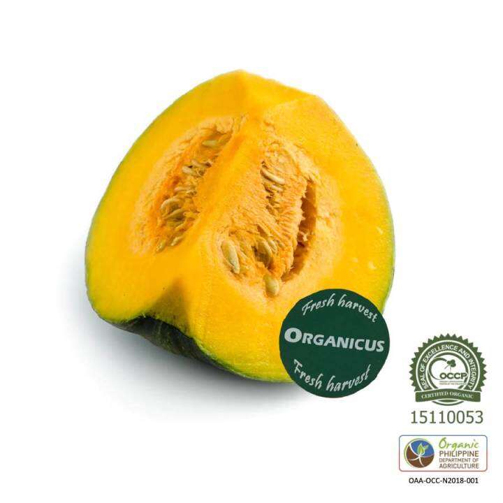 Organic Squash (400g) by Organicus | Lazada PH